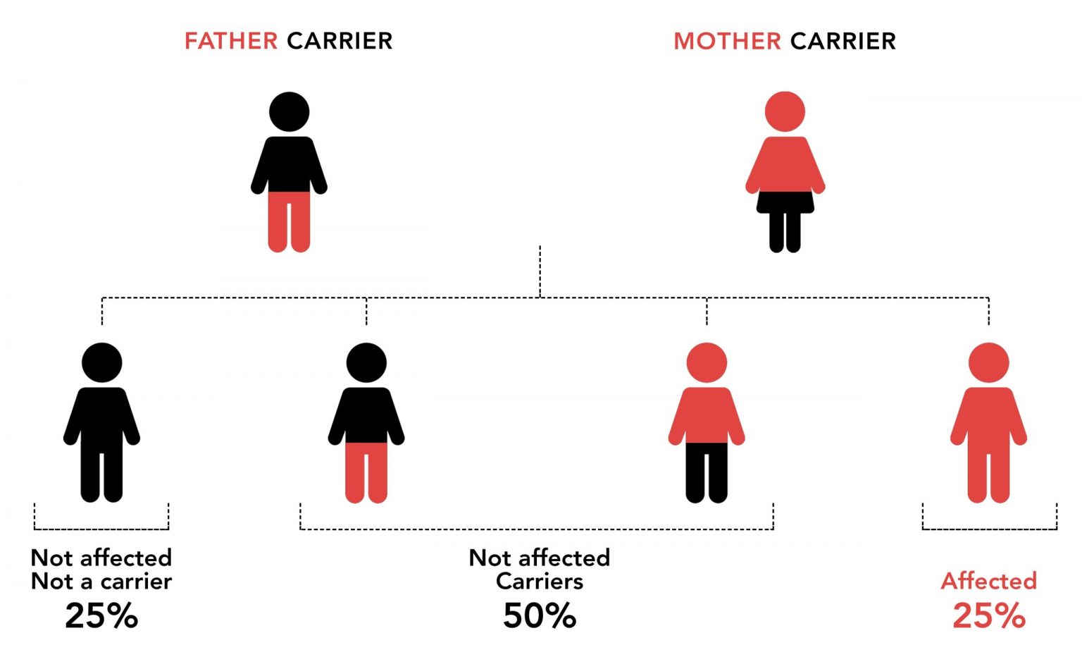 Genetic disorders and chromosome testing for pregnancy | DHC